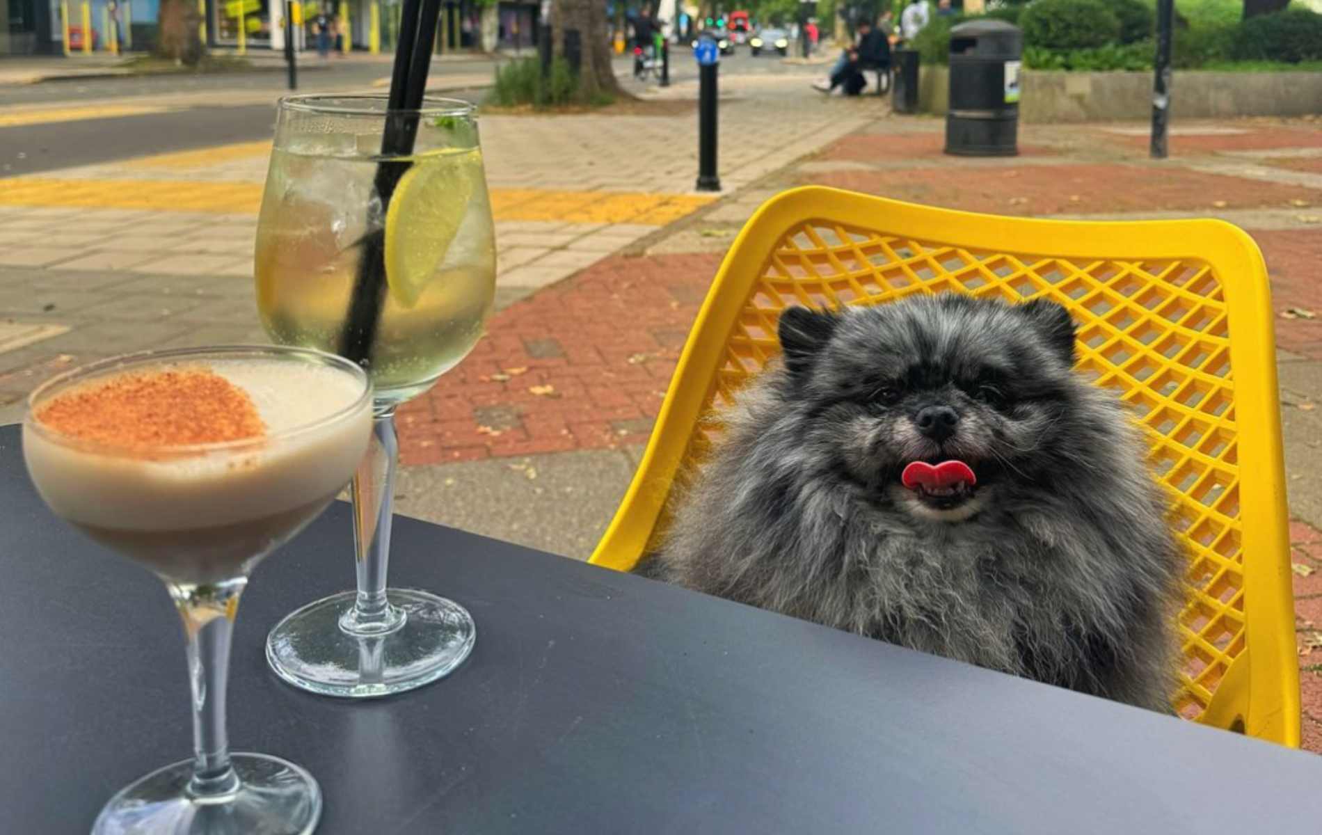 Dog-Friendly Places in West London | Horton and Garton